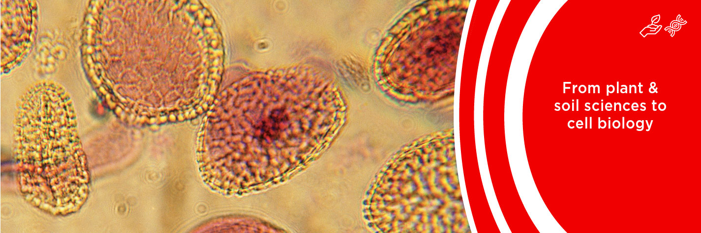 CAMECA | Elemental & Isotopic Microanalysis