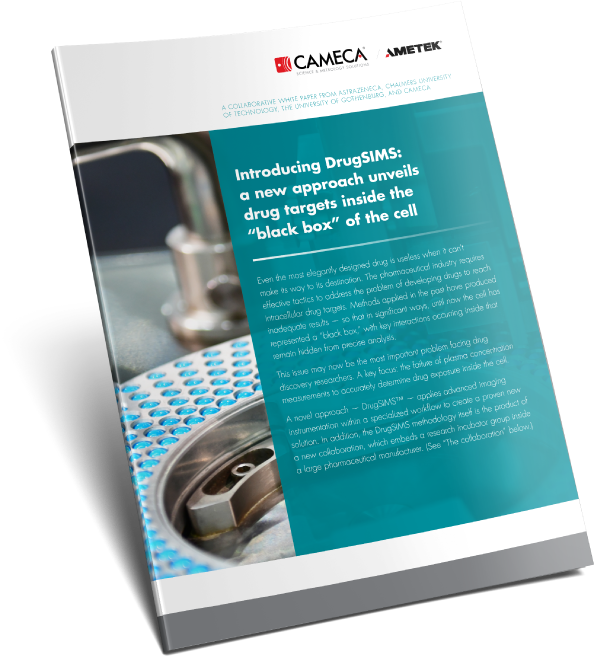 DrugSIMS: unveiling drug targets within cells