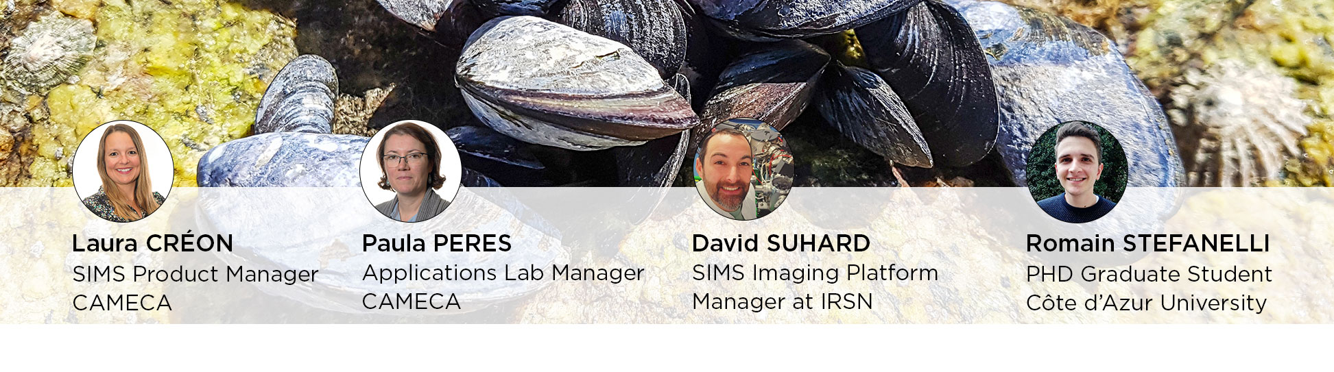 Unveiling the Hidden Threat : Tracking Uranium Accumulation in Marine ...