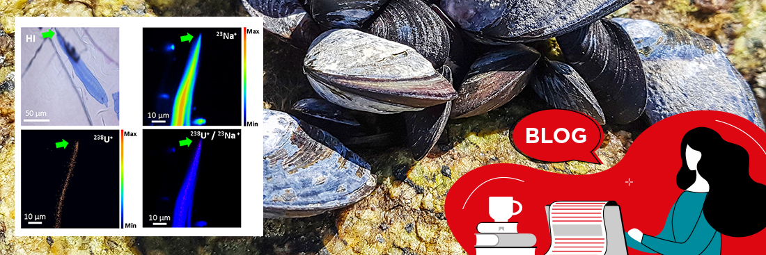 New blog: Unveiling the Hidden Threat : Tracking Uranium Accumulation ...