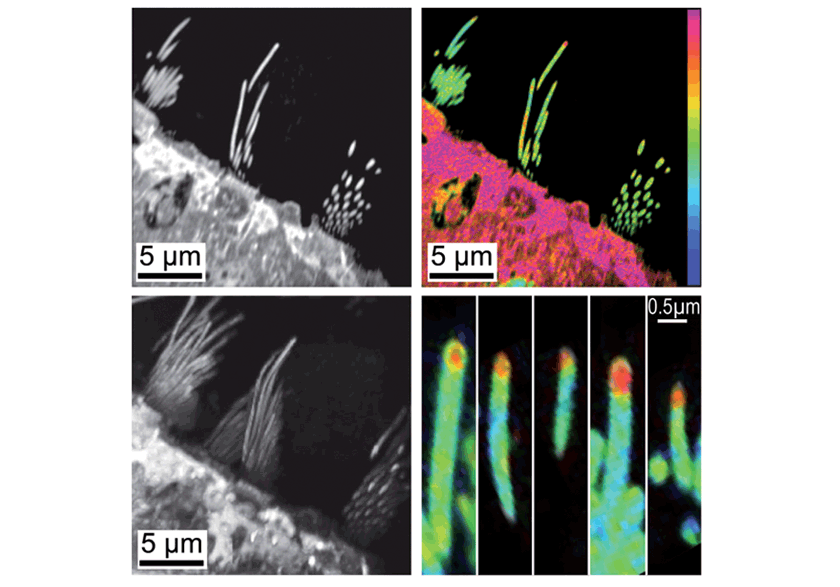 CAMECA NanoSIMS 50L: Ion Microprobe for ultra fine feature analysis in materials, geology ...