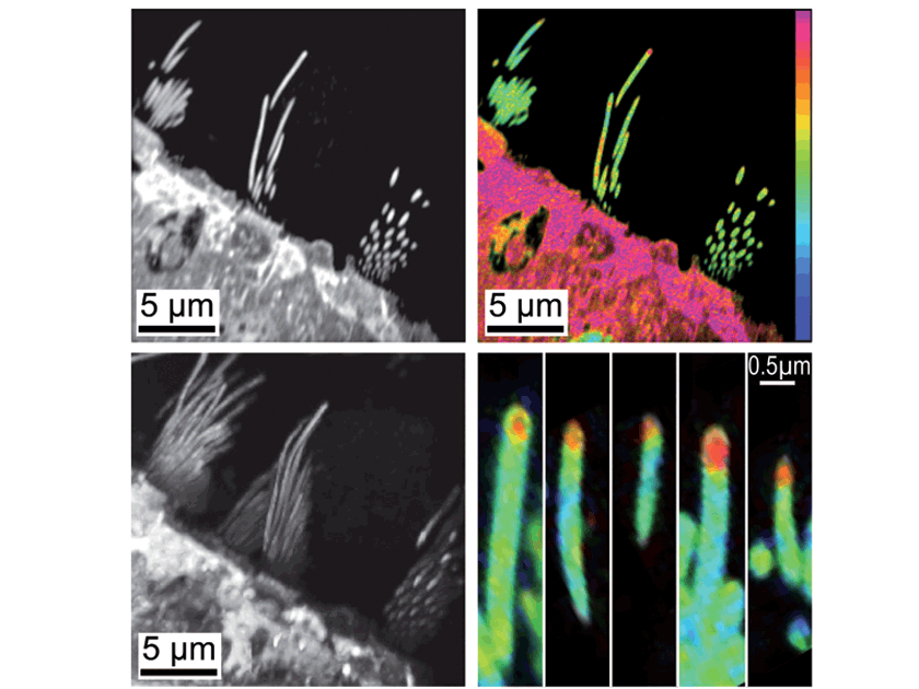 CAMECA NanoSIMS 50L: Ion Microprobe for ultra fine feature analysis in ...